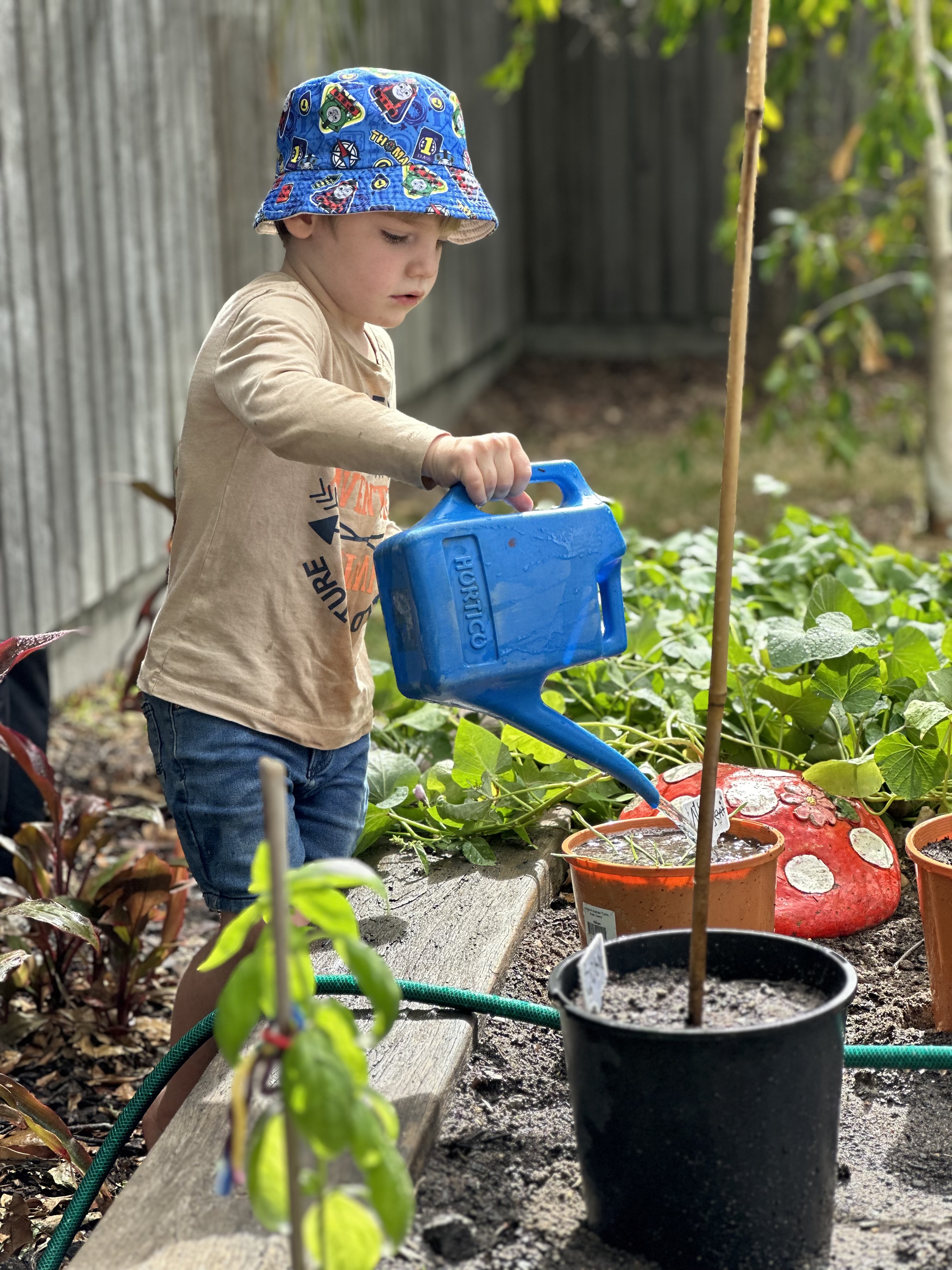C&K Walkervale Community Kindergarten | About Us